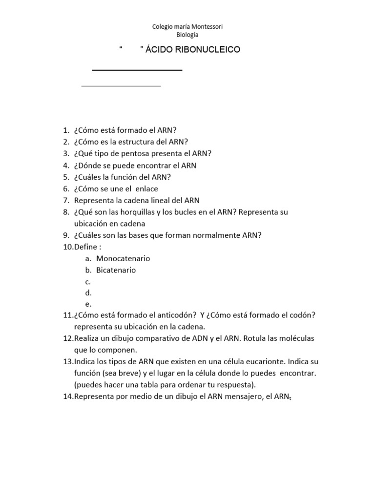 Estructura y Funciones del ARN | PDF | Rna | Adn