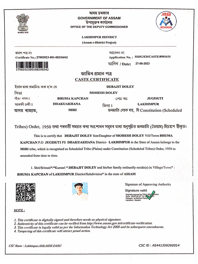 ST Certificate | PDF