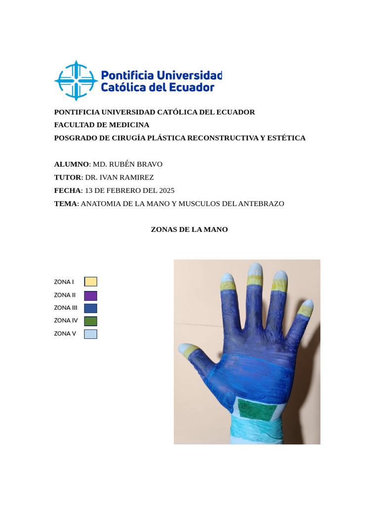 Anatomia de La Mano | PDF | Mano | Anatomía humana
