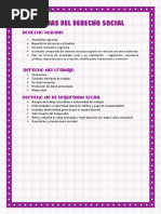 Ramas Del Derecho Social | PDF | Derecho laboral | Relaciones laborales