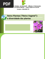 Espermatófitas | PDF | Plantas | Botânica