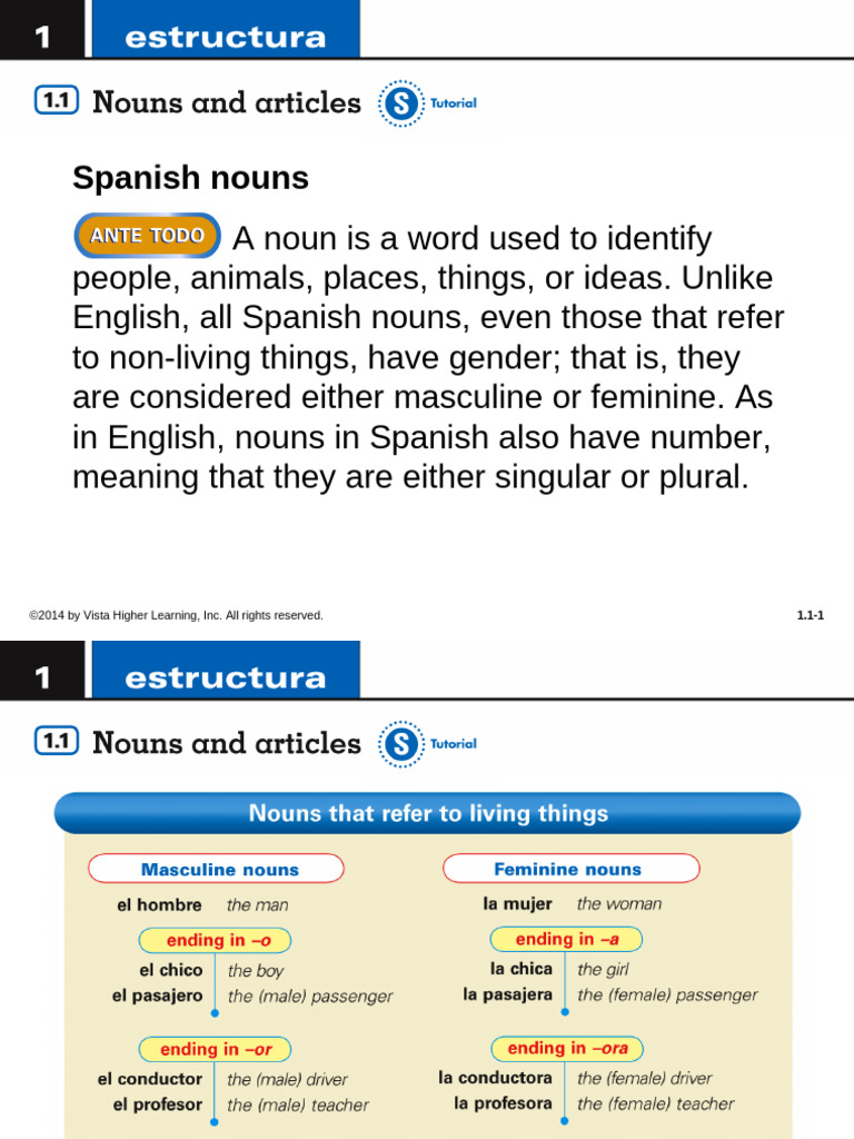 Spanish Nouns and Articles Grammar | PDF | Grammatical Gender | Plural