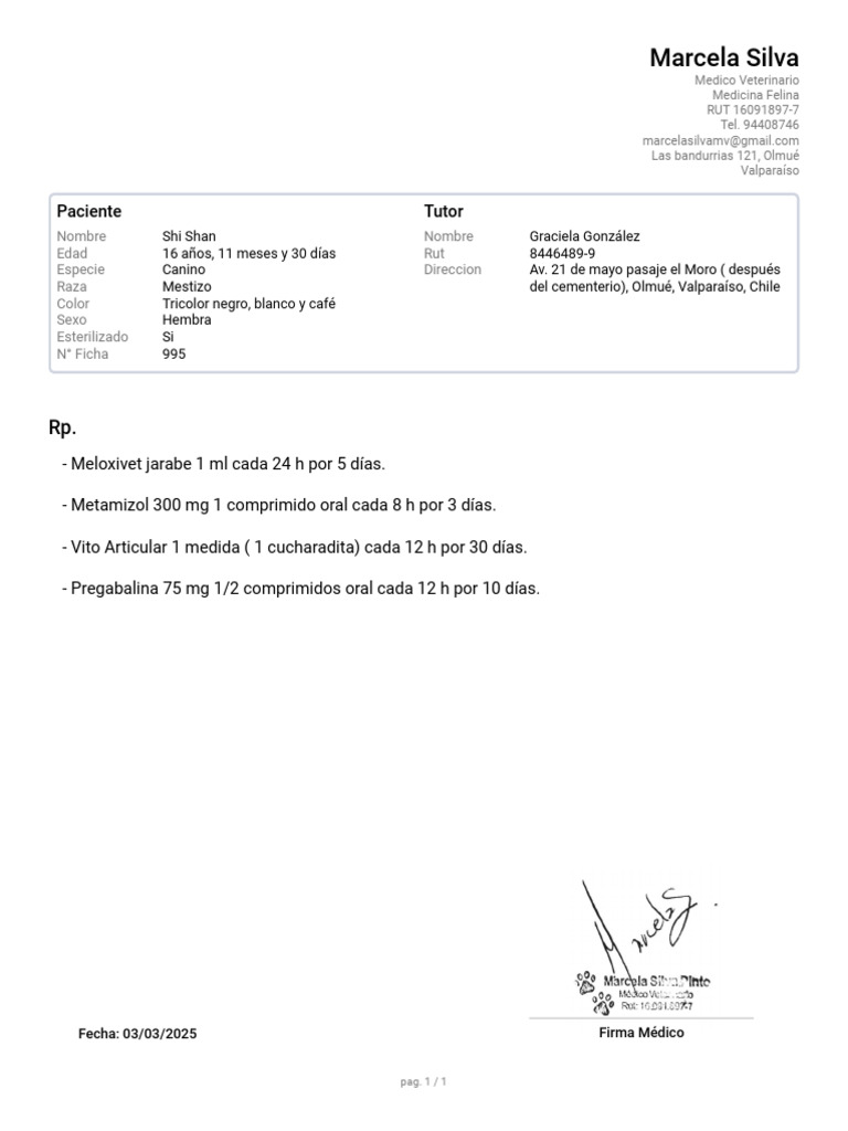 Receta - Shi Shan - 03 - 03 - 2025 - 1741033086626 | PDF