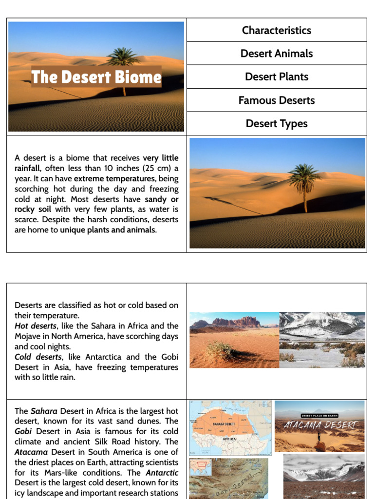 The Desert Biome | PDF