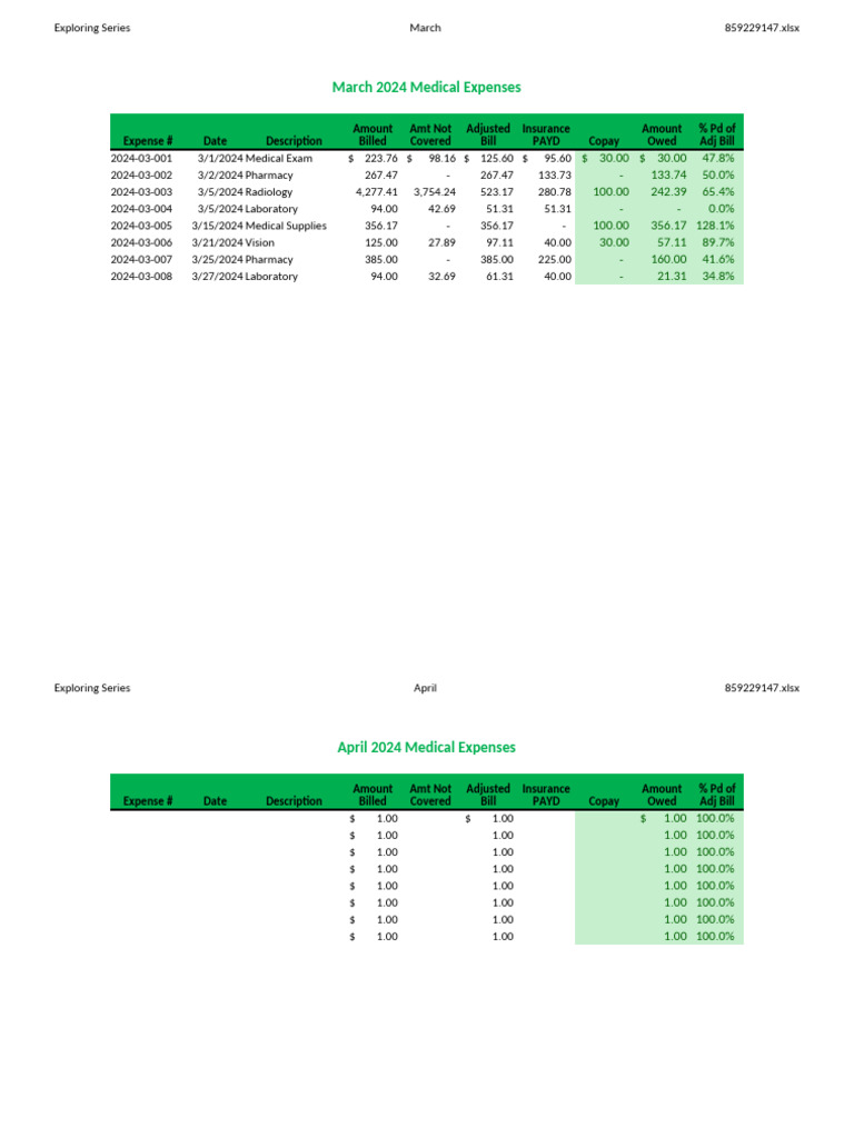 March-April 2024 Medical Expenses Summary | PDF | Health Care | Social ...