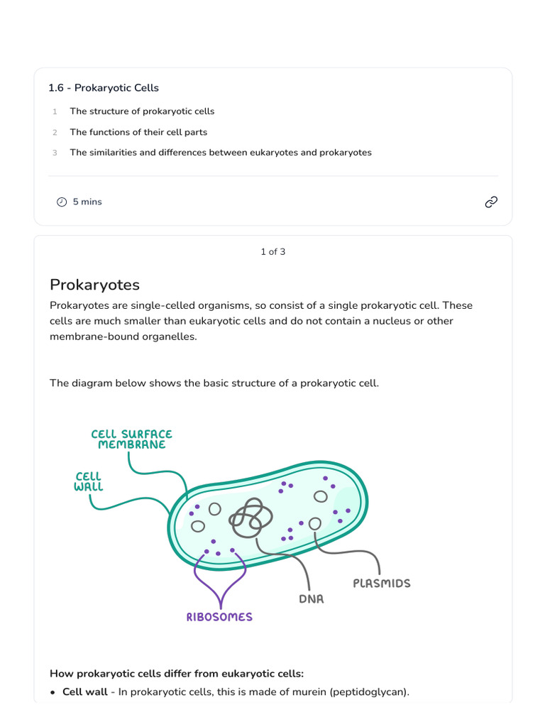 Prokaryotic Cells Revision Notes - A-Level Biology CIE - Cognito | PDF