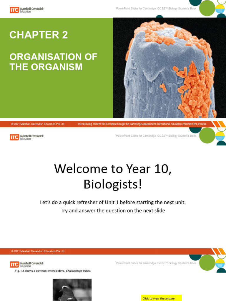 Unit 2 Lesson Slides With PYQ | PDF | Tissue (Biology) | Cell (Biology)