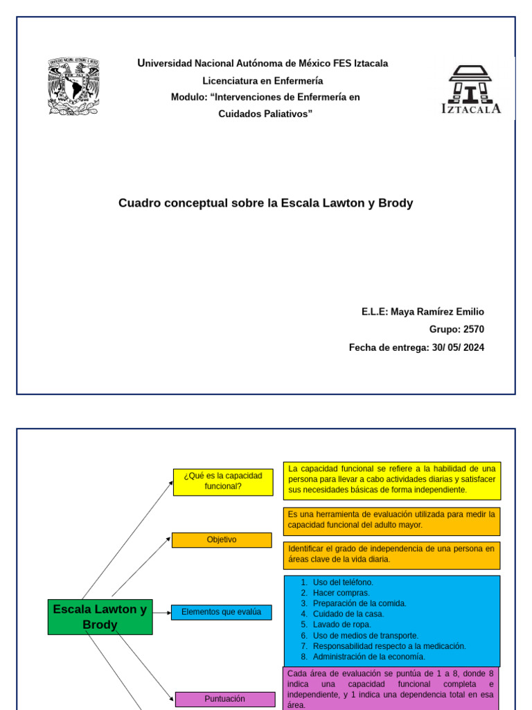 Escala Lawton y Brody | PDF