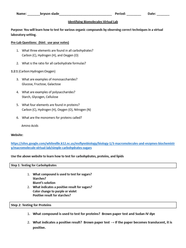 Identifying - Biomolecules - Virtual - Lab - REVISED 24 25 | PDF ...