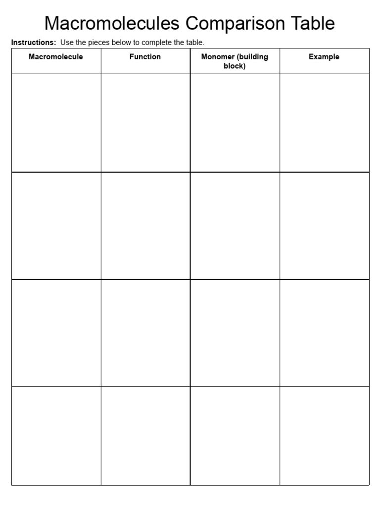 Macromolecules Function and Structure Guide | PDF
