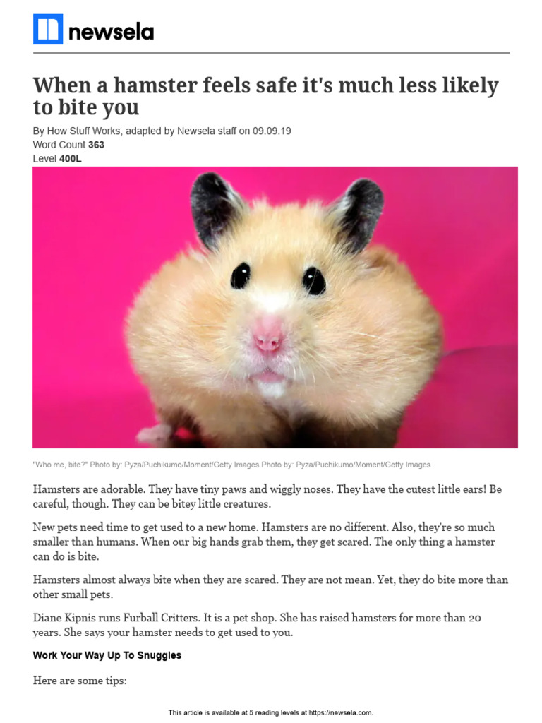 ela-hamsters-biting-56197-article_and_quiz-power_words-339_340_341 | PDF