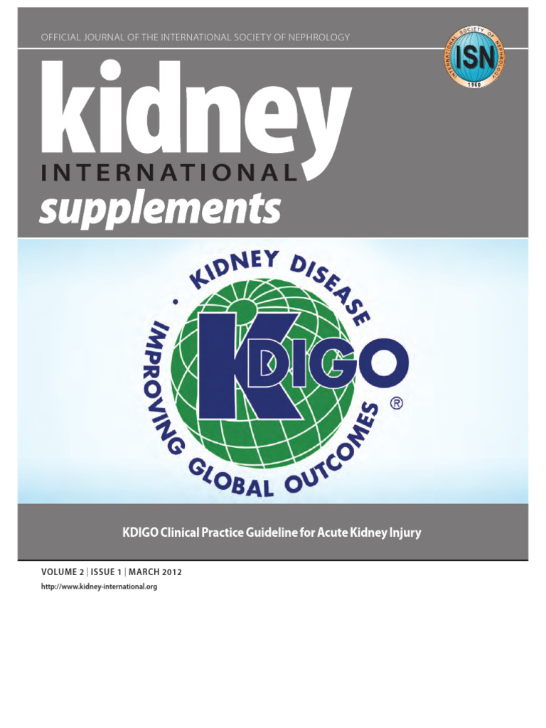 KDIGO 2012 AKI Guideline English | PDF