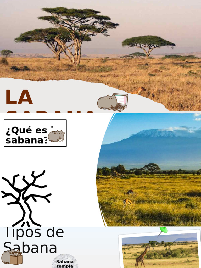 proyecto sabana 6a | PDF