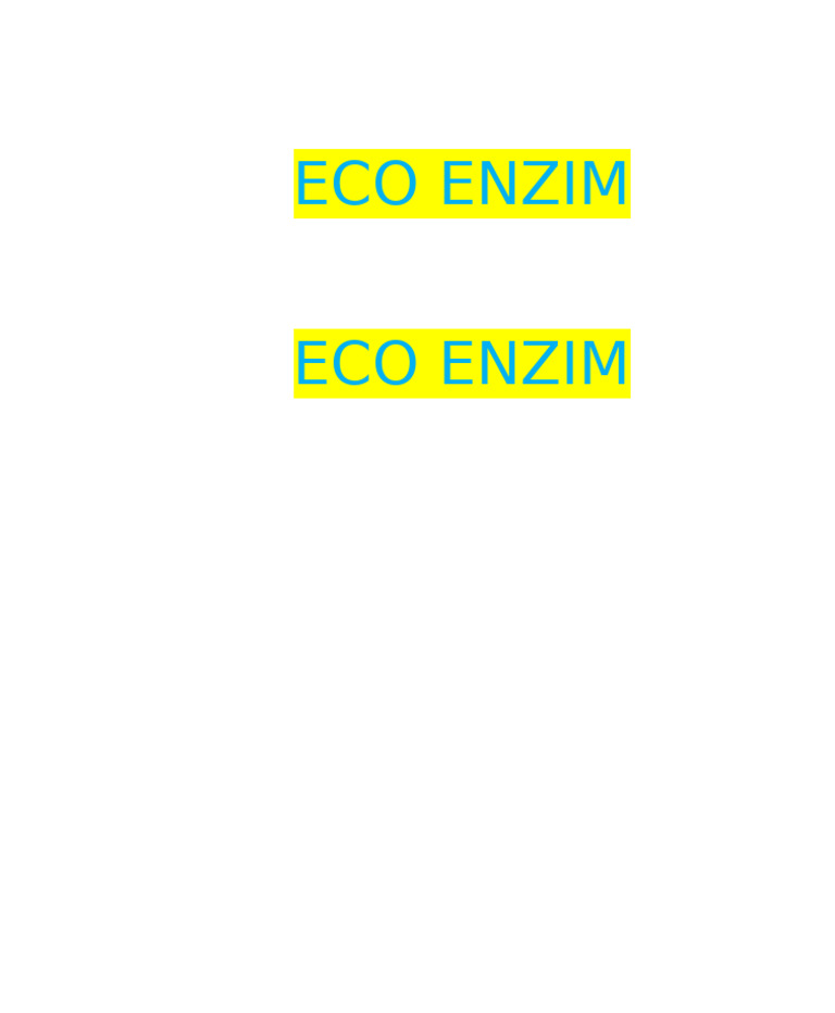ECO ENZIM | PDF