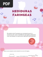 Desarrollo de bolsas y hendiduras faringeas | PDF | Epitelio | Timo
