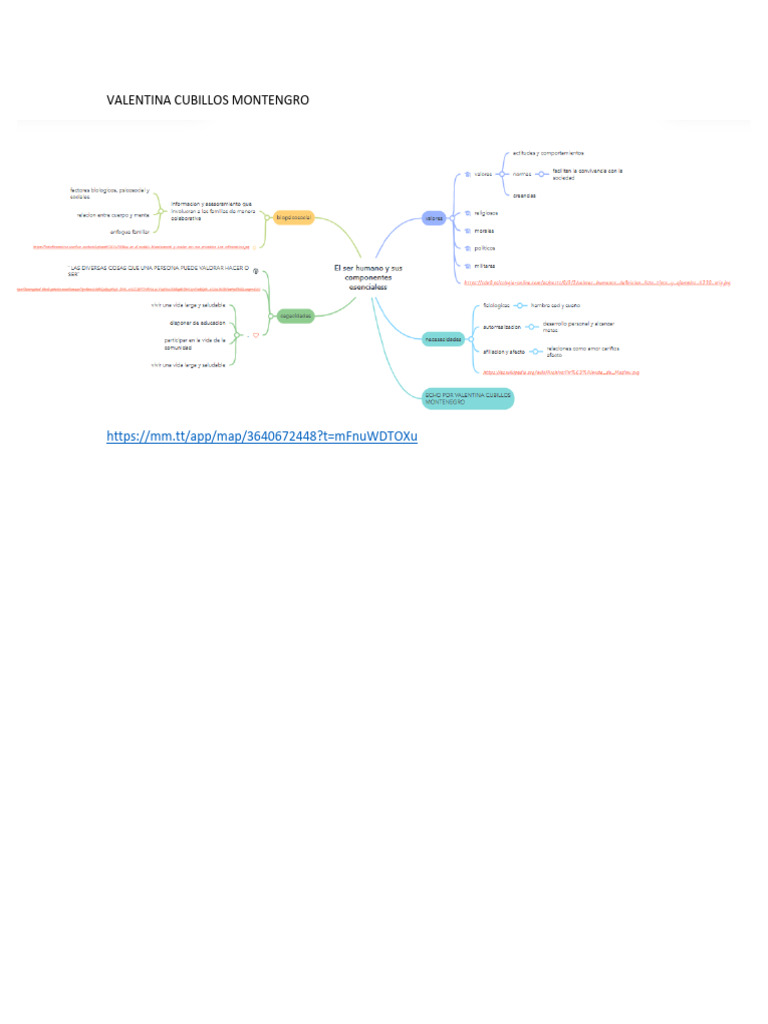 Mapa Mental | PDF