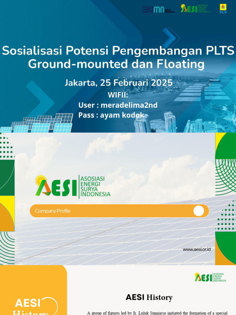 2. Presentation Mrs. Mada - AESI | PDF | Renewable Energy | Economies