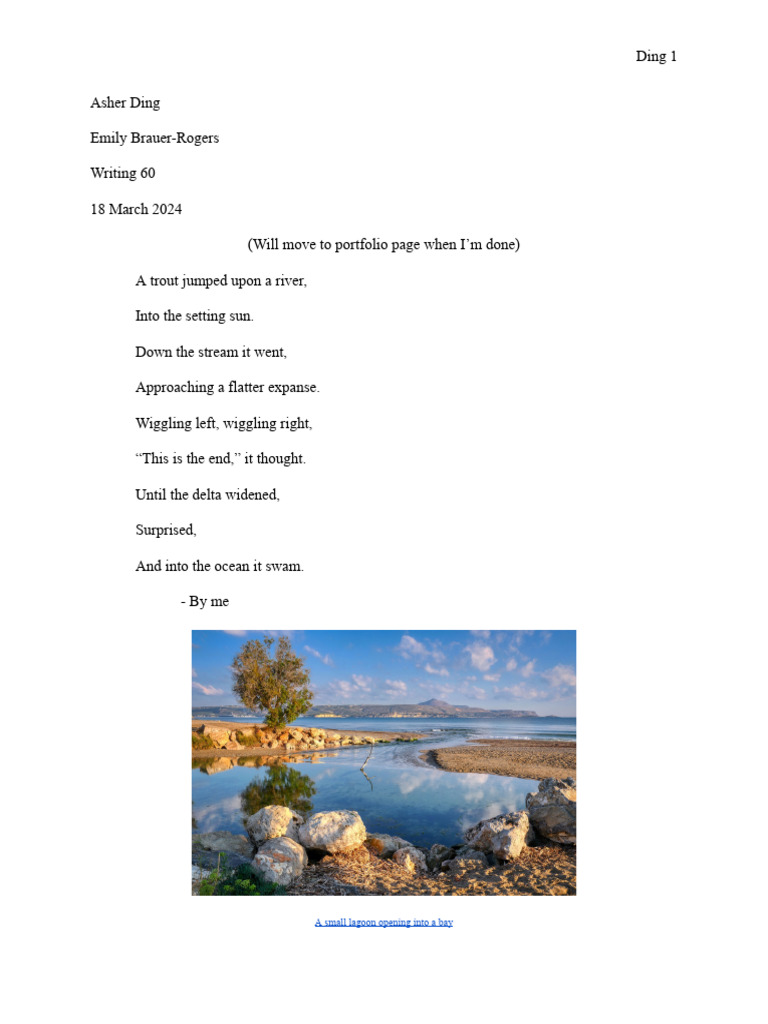 E-Portfolio Reflective Introduction | PDF | Essays