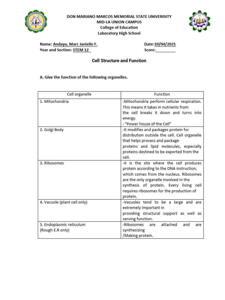 Cell Structure and Function | PDF | Cell (Biology) | Proteins