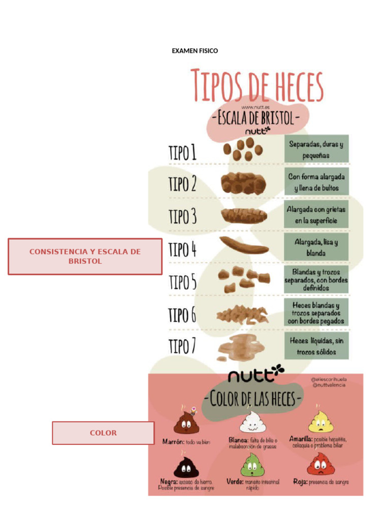 Procedimiento Fisico, Quimico y Microscopico de Moco Fecal | PDF | Heces