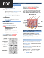 Animal Body Coverings Explained | PDF | Feather | Skin