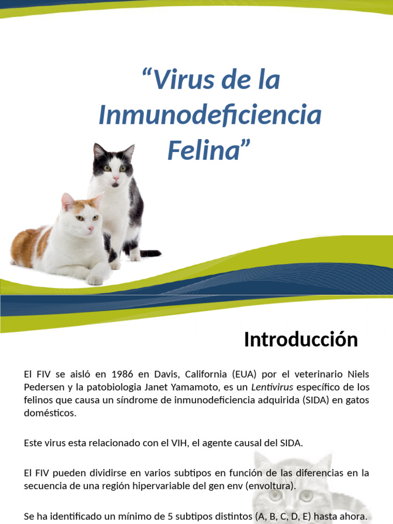 Virus de La Inmunodeficiencia Felina | PDF | Retrovirus | Virus