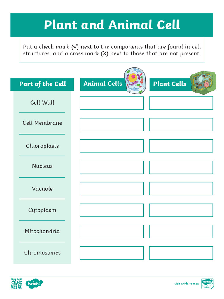 Cell Structure Grade 8 | PDF | Cell (Biology) | Bacteria
