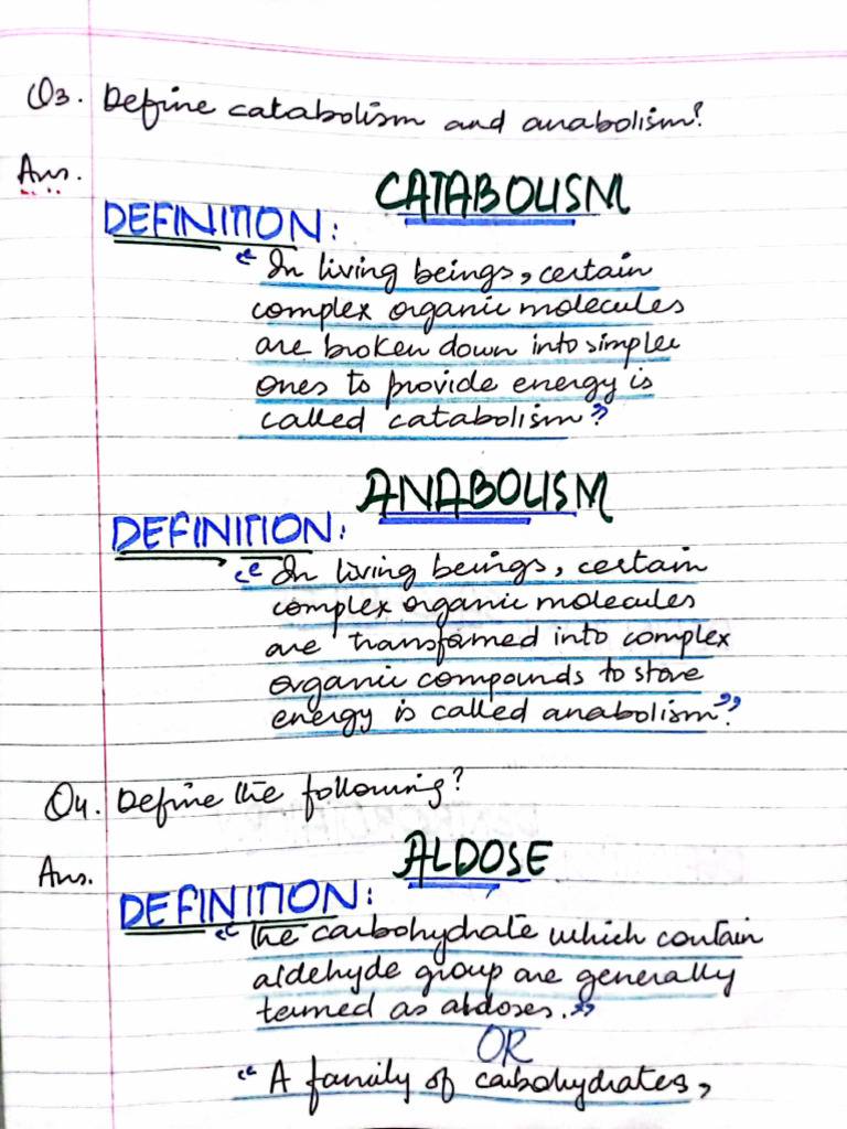 Chem Chap 4 Biochemistry (1) | PDF