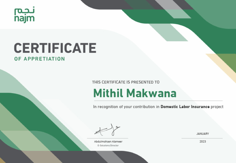 Certificate Mithil | PDF