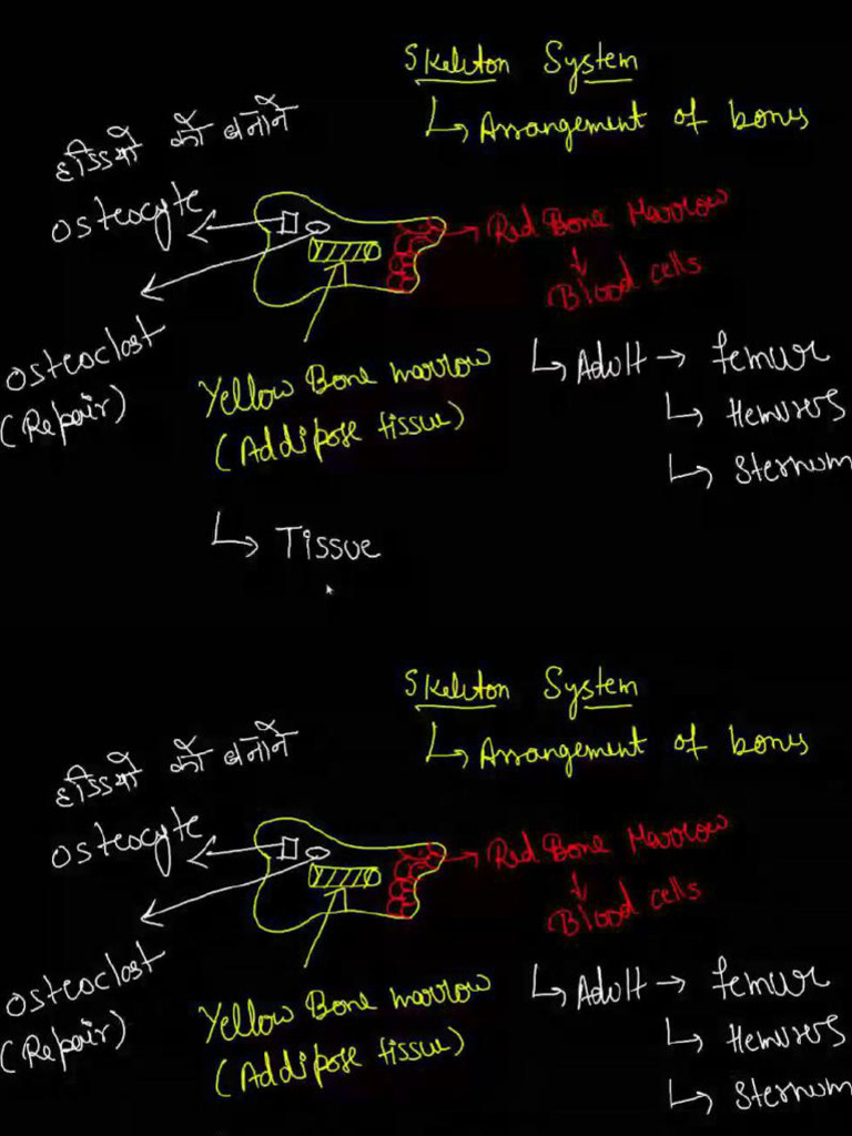 16886_8397753_lc | PDF