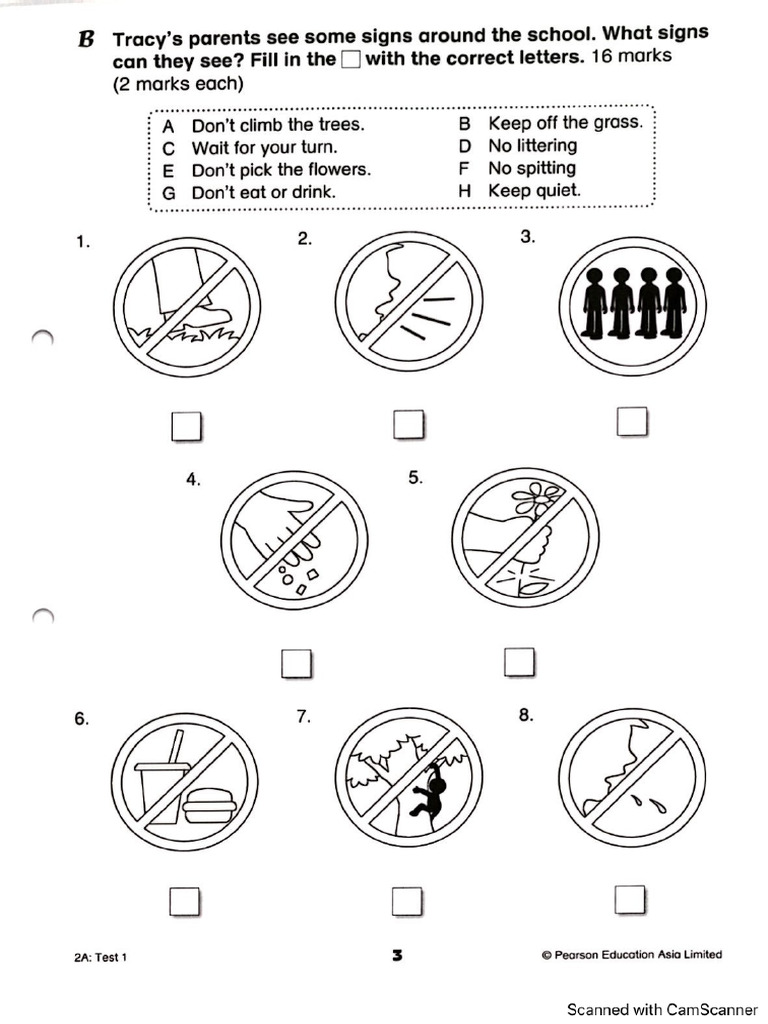 p2 Grammar and Reading Test | PDF