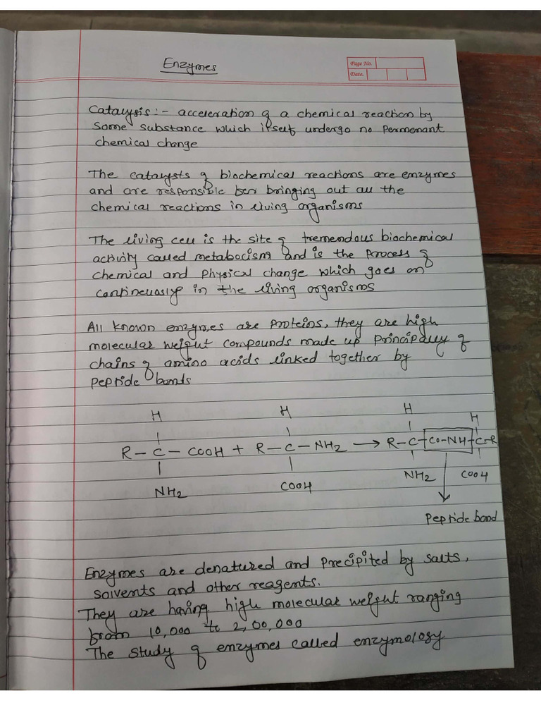 Enzymes Notes | PDF
