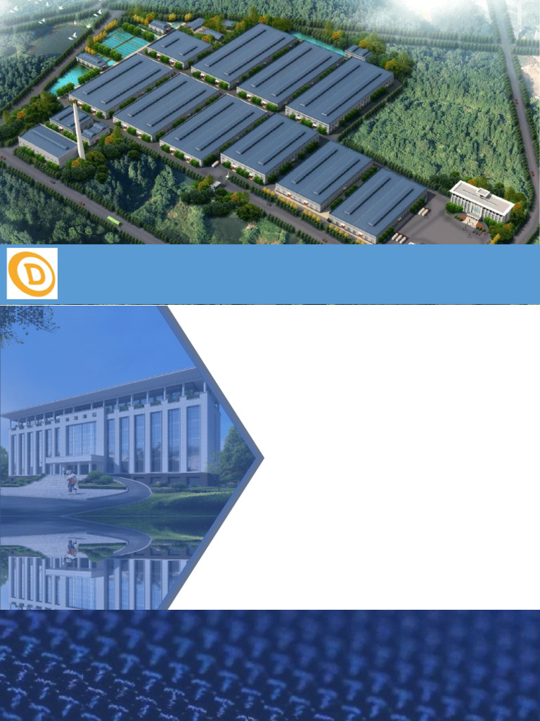 Dadong Textile Profile | PDF