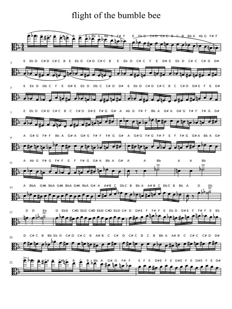 Viola The Flight of de Bumble Bee | PDF | Bees