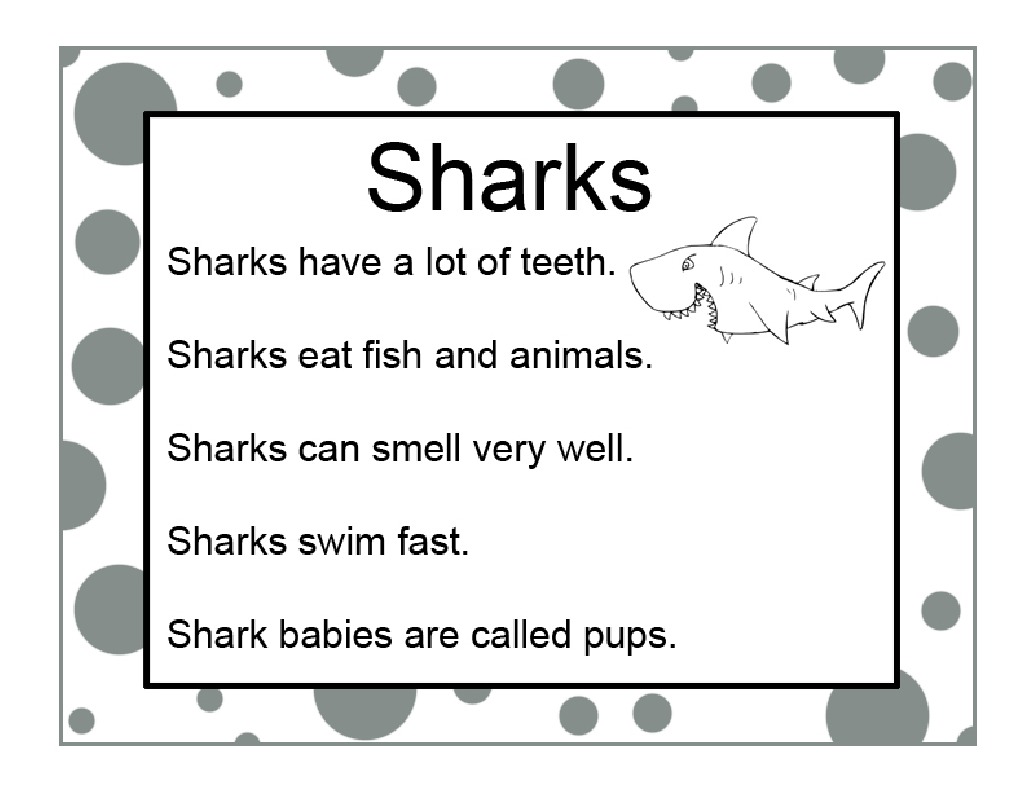 Shark Info | PDF