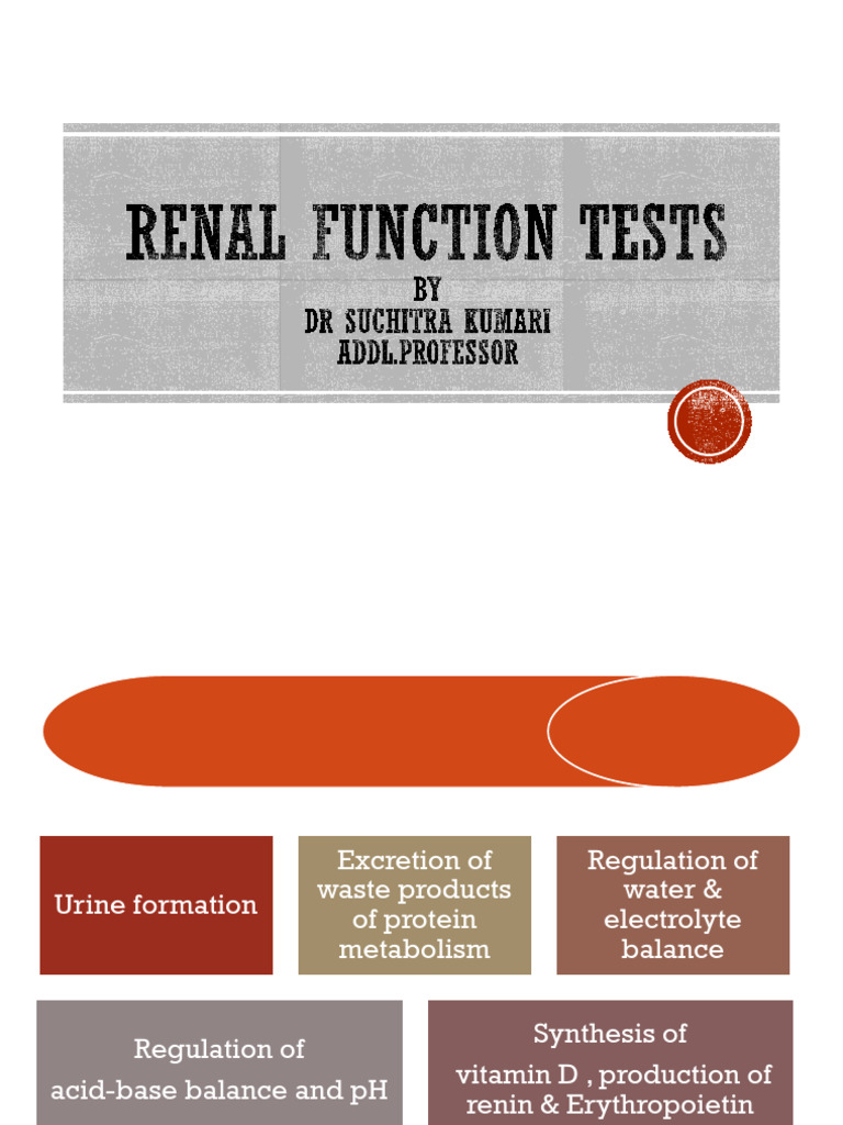 RENAL FUNCTION TESTS.. | PDF | Kidney | Medical Specialties