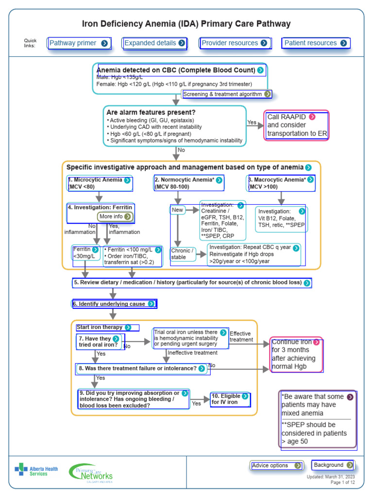 IronDeficiencyAnemia Pathway | PDF | Anemia | Dose (Biochemistry)