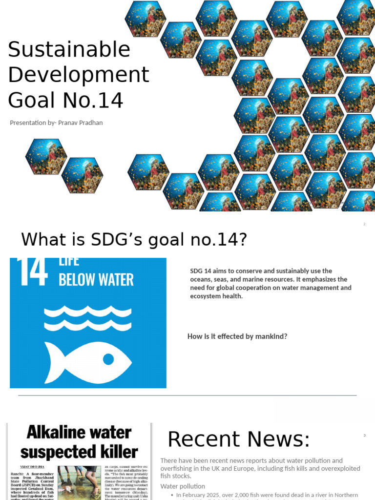 Life Below Water SDG 15 | PDF | Overfishing | Fishery