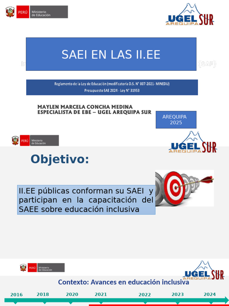 Conformación del SAEI 2025 en Arequipa | PDF | Inclusión (Educación)