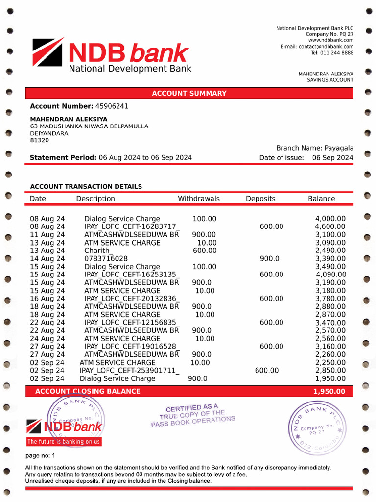 NDB Bank Template | PDF