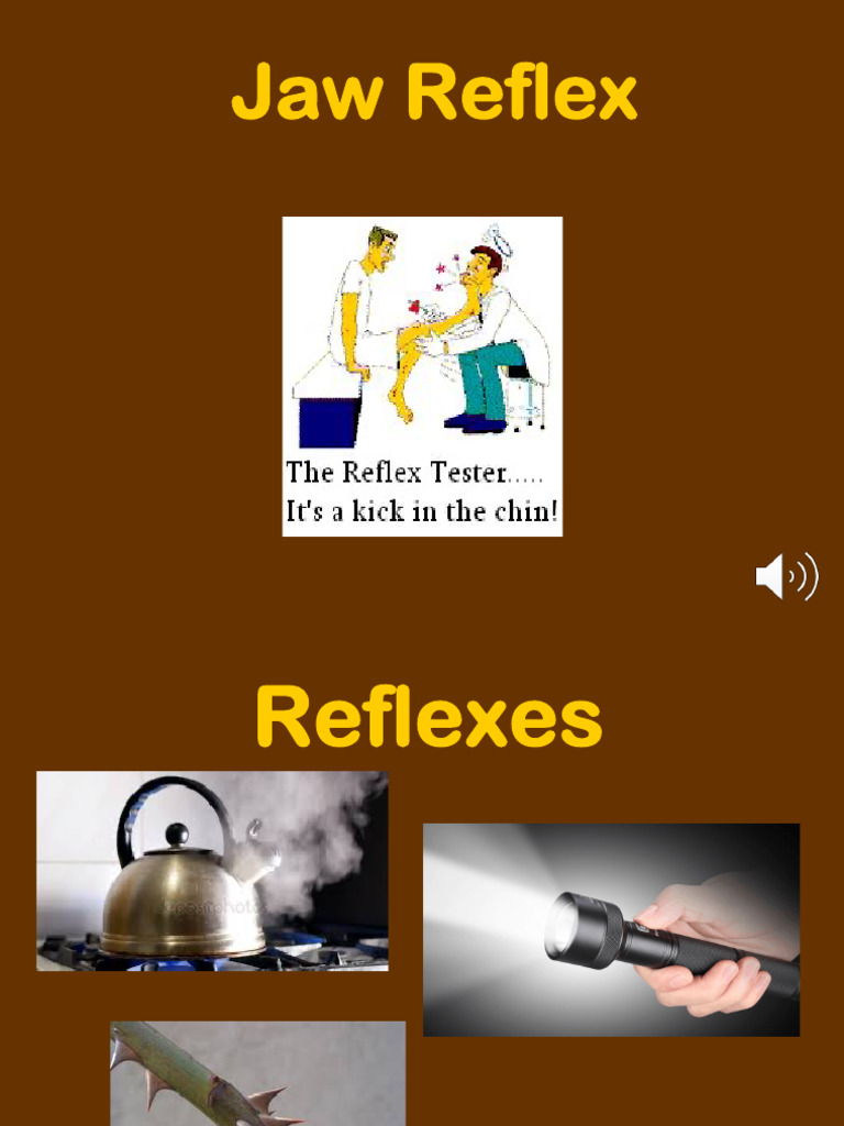 Jaw Reflex (PP) | PDF | Motor Neuron | Larynx