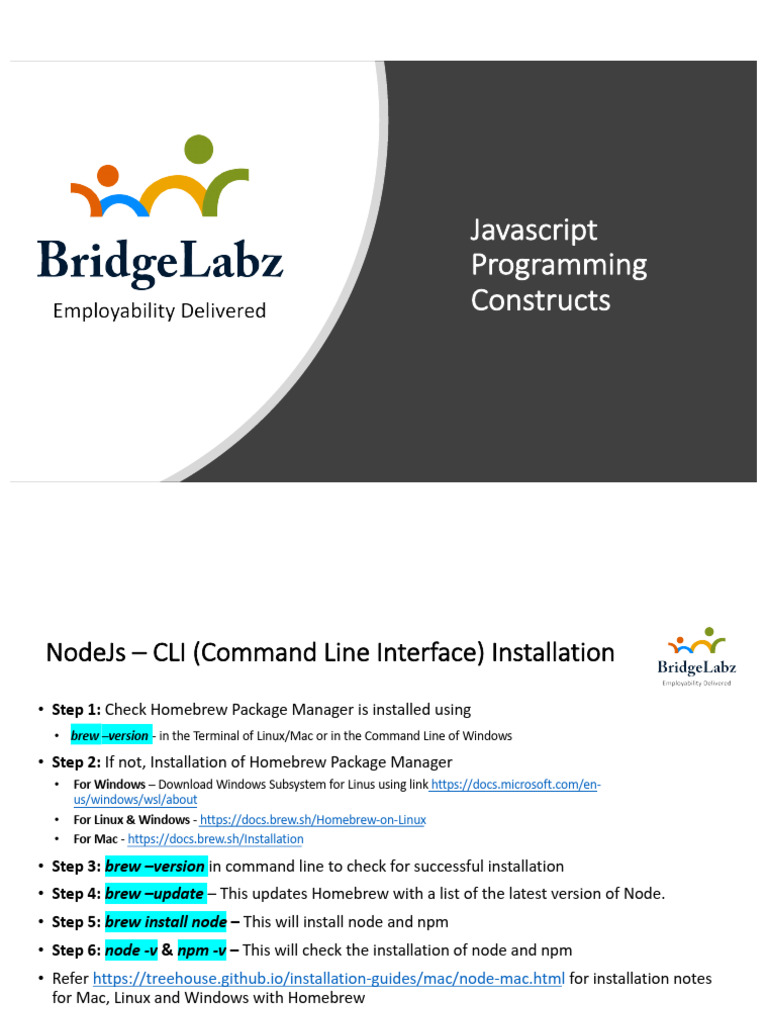 FS JS PP01 Programming Constructs Practice Problems | PDF | Command Line Interface | Software ...