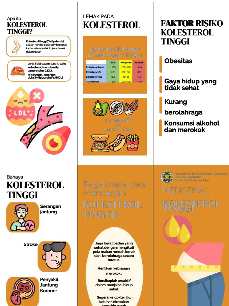 PDF Leaflet Kolesterol Anastasia Grace - Compress | PDF