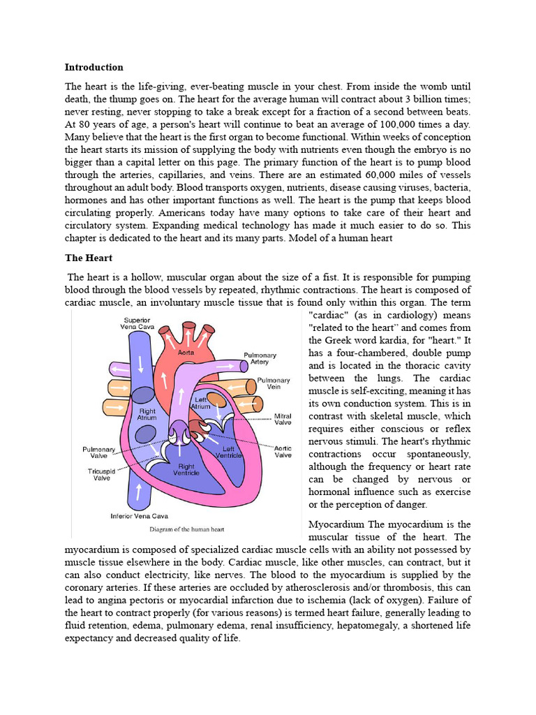 Anatomy and Function of the Heart | PDF | Heart Valve | Ventricle (Heart)