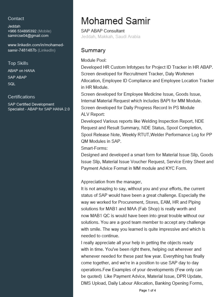 Mohamed (Abdul Hathi) Samir | PDF | Computing | Sap Se