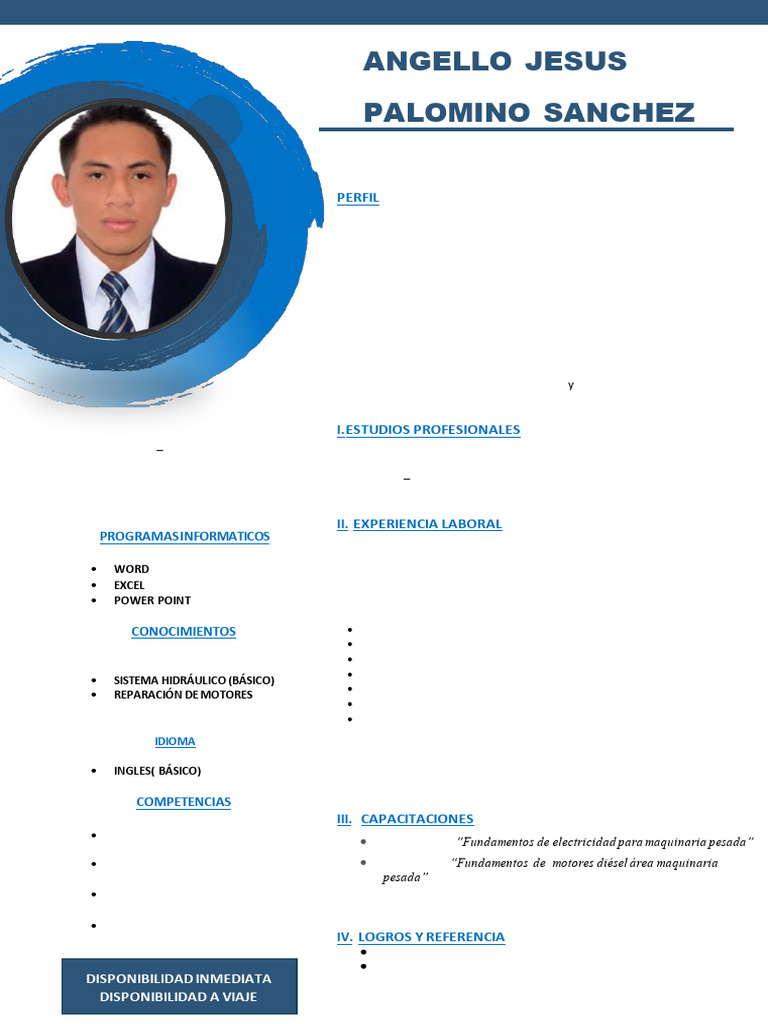 Cv-Angello Palomino Sanchez | PDF
