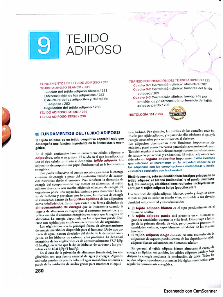 Tedio Adiposo | PDF
