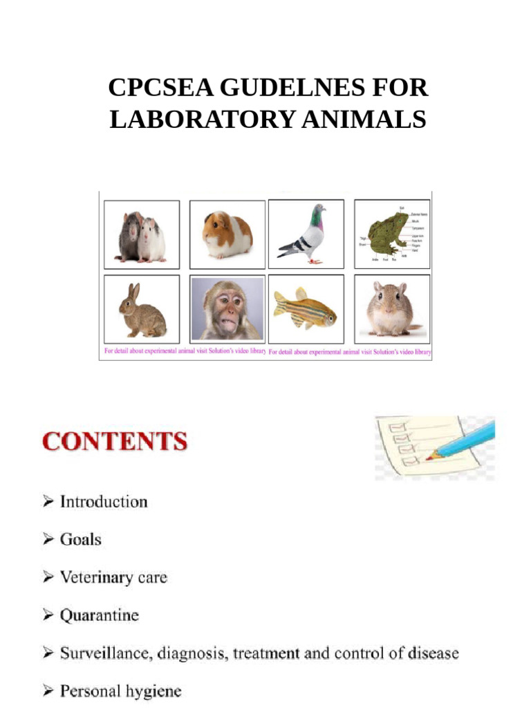 Expt 4. Maintenance of Laboratory Animals As Per CPCSEA Guidelines. | PDF
