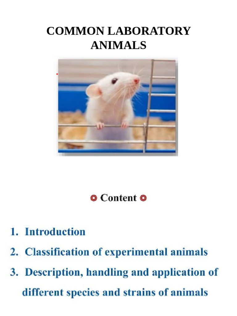 Expt 3. Study of Common Laboratory Animals | PDF