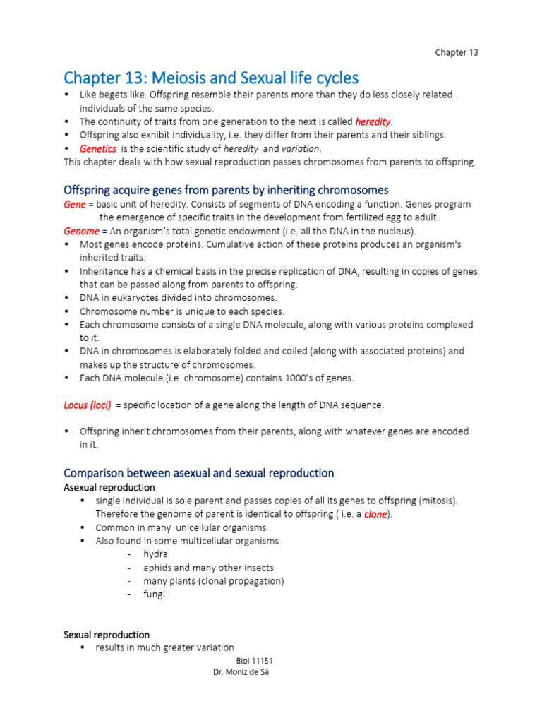 1115Chap 13 Meiosis_notes-merged | PDF | Meiosis | Dominance (Genetics)